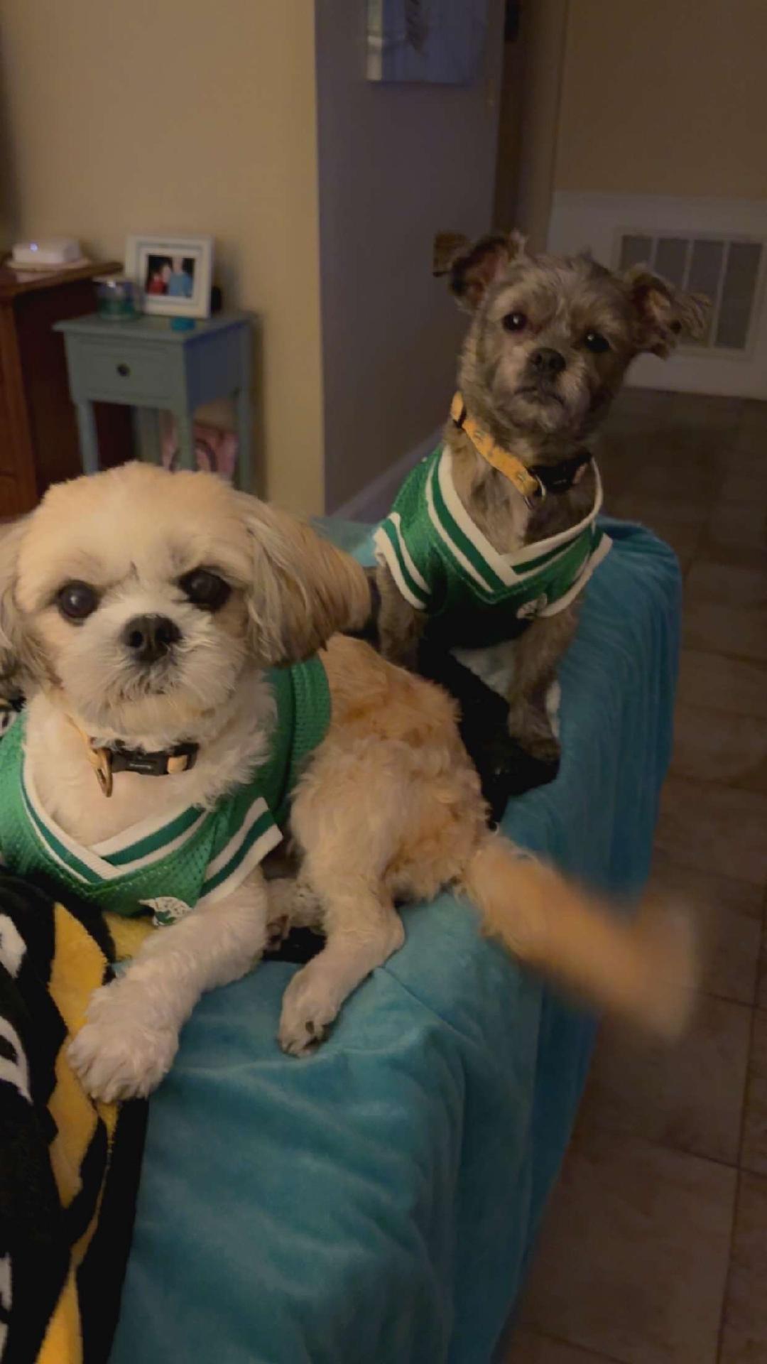 Dobies Funeral Home & Crematory | Amy Graff